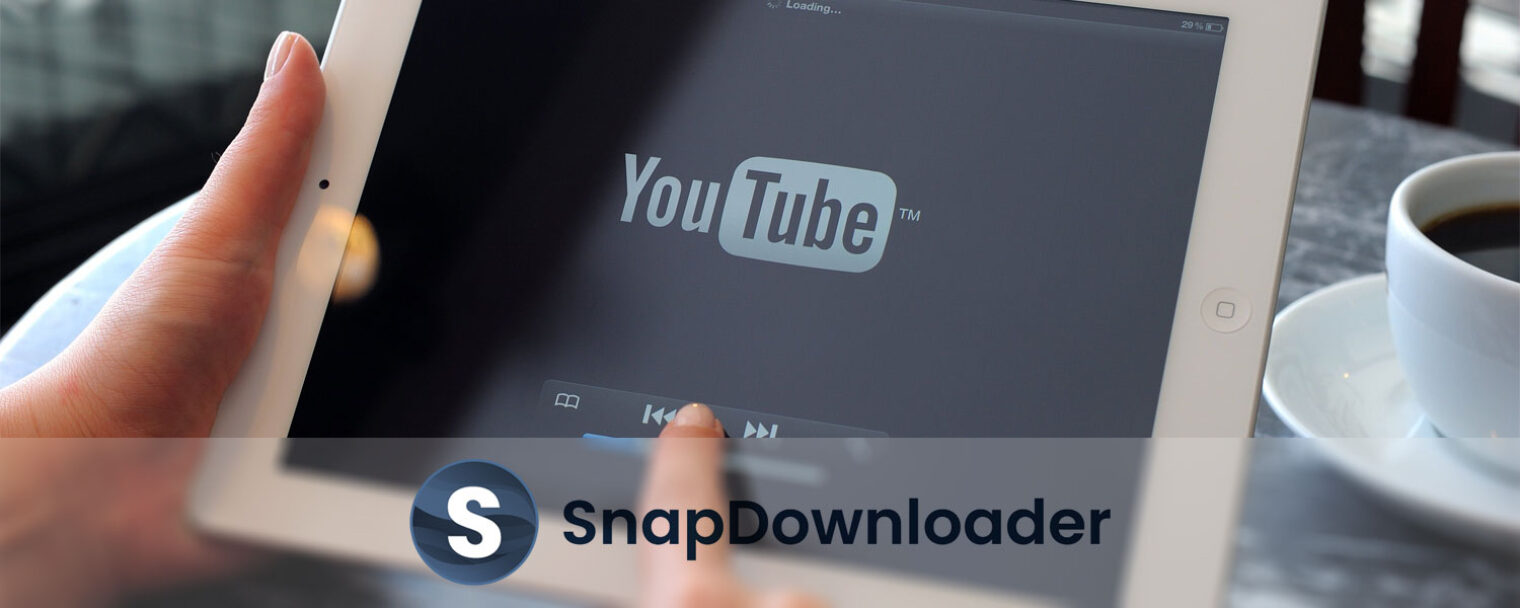 SnapDownloader Review & Pricing | TechaLook